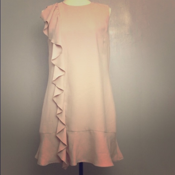 Zara | Dresses | Zara Side Ruffle Dress | Poshmark